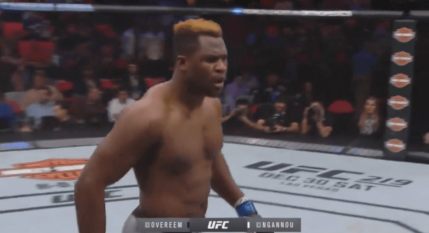 Francis Ngannou termine Alistair Overeem au 1er round par KO