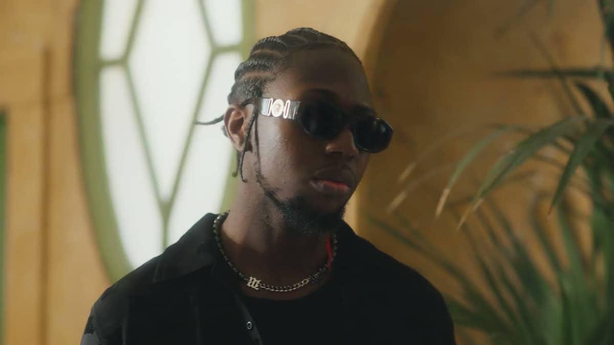 Still Fresh - proche des étoiles, les pieds sur terre