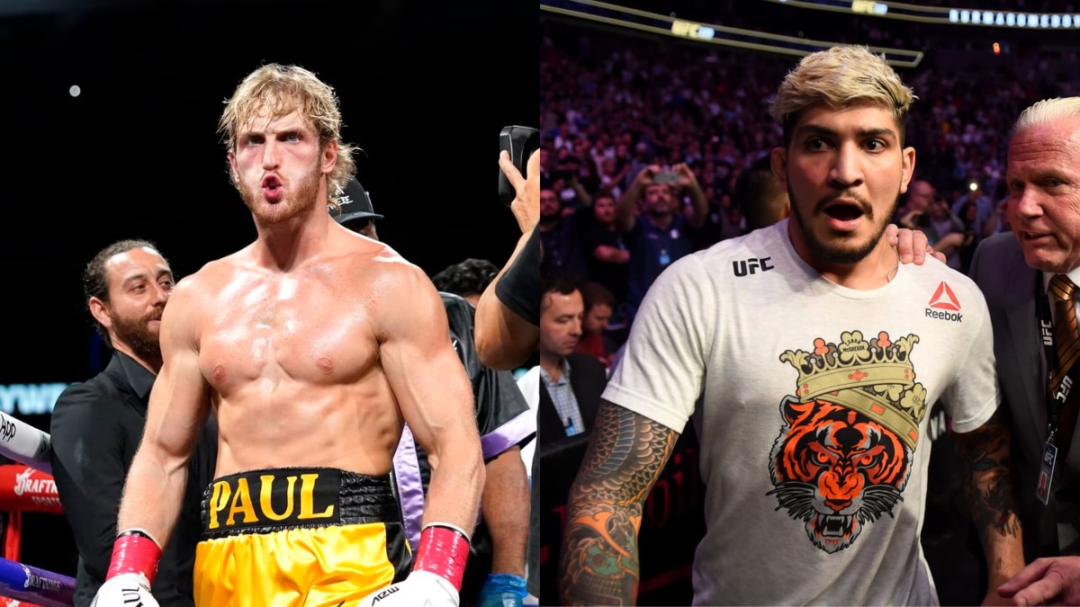 Logan Paul vs Dillon Danis : une clause spéciale à 100 000$