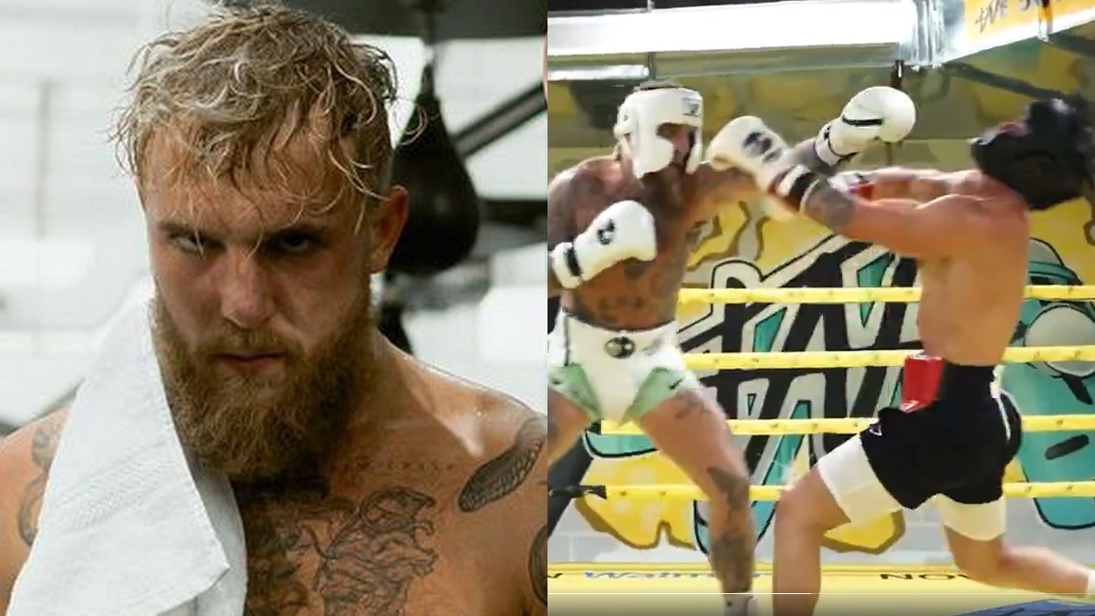 Boxe - Jake Paul inarrêtable en sparring avant d'affronter Mike Tyson
