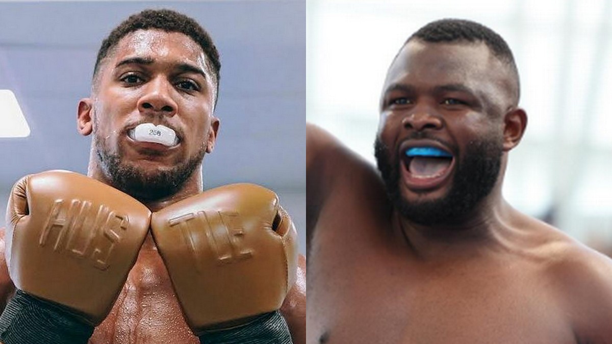 Anthony Joshua vs. Martin Bakole : le combat en approche