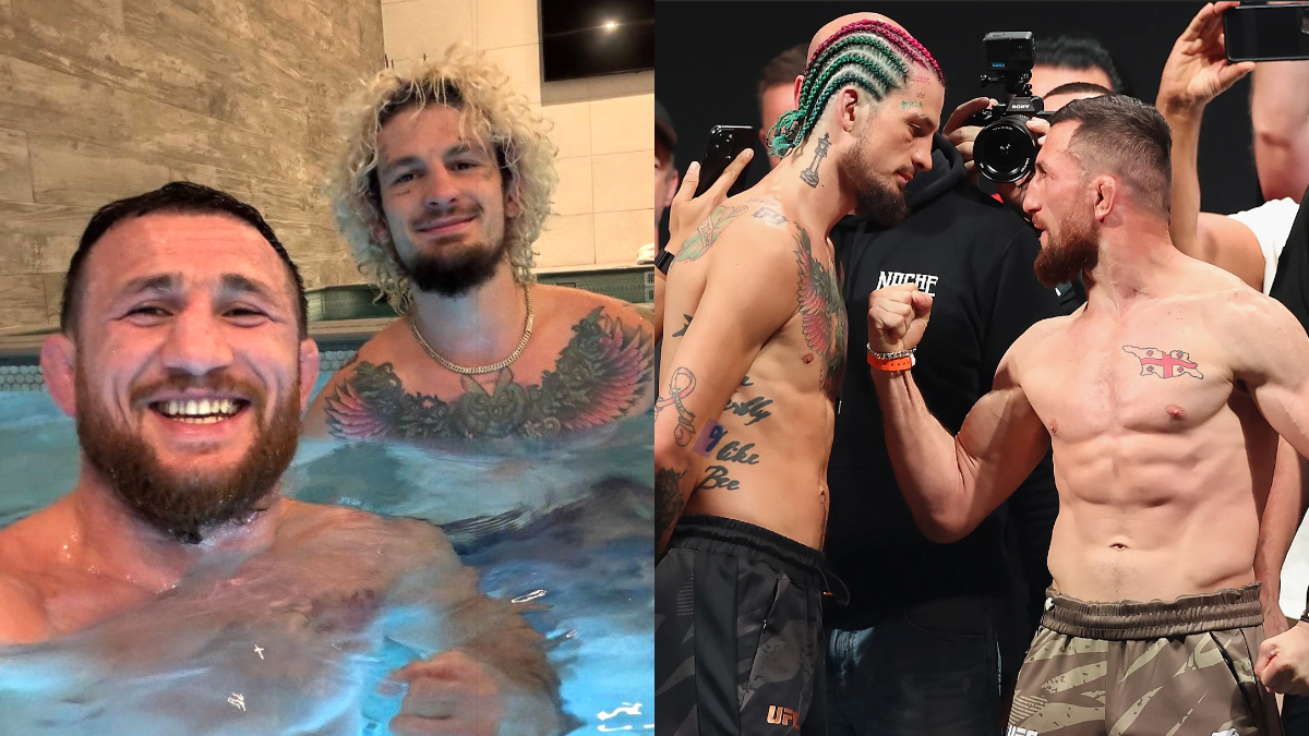 Sean O’Malley vs. Merab Dvalishvili : un trêve avant la revanche