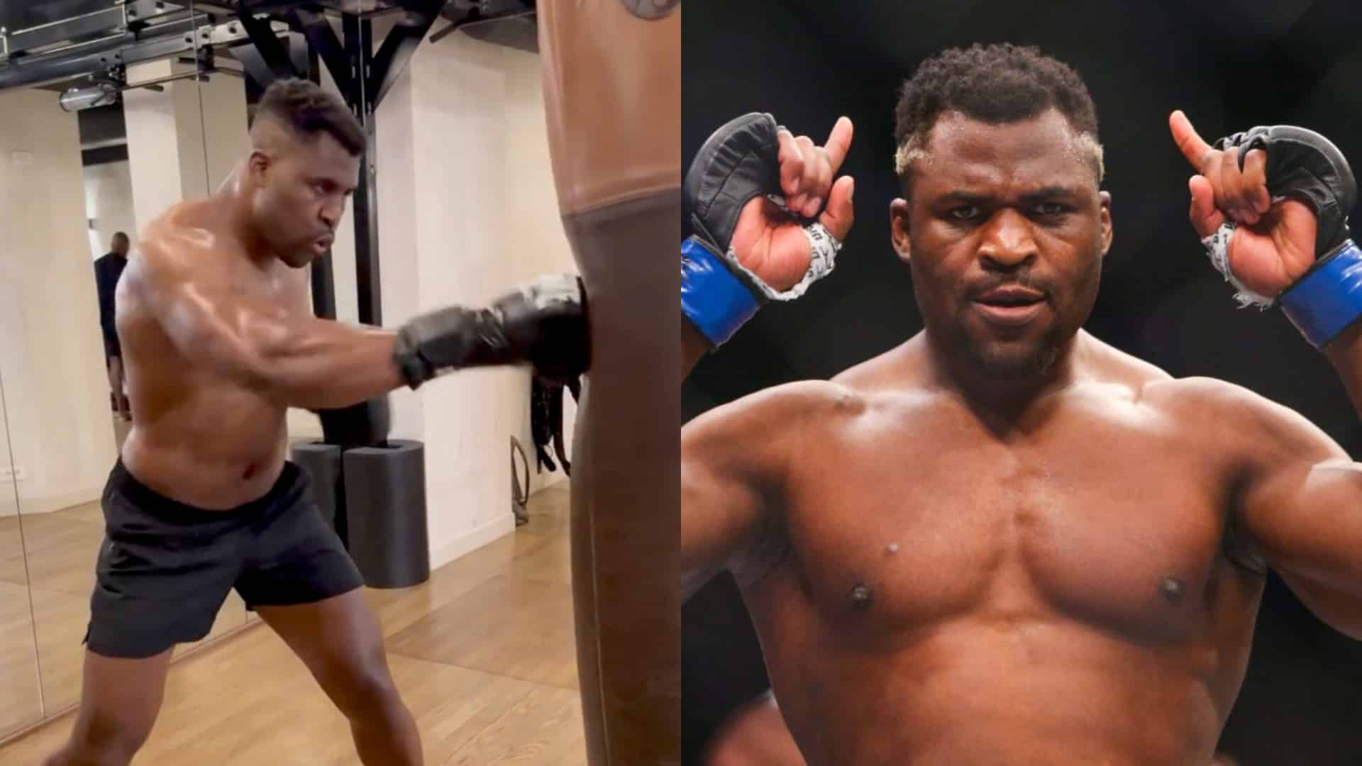 Francis Ngannou Affute Sa Boxe Je Suis Prêt Vidéo